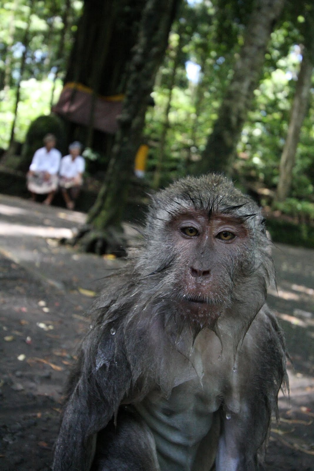 Living in Cambodia...